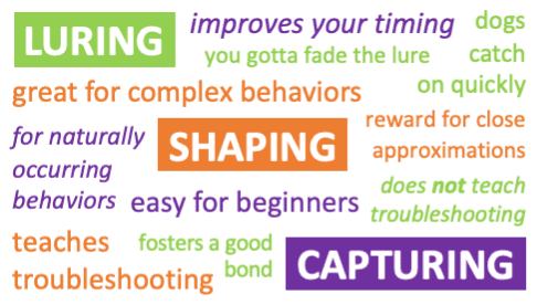 Core Training Methods - K9 Connector